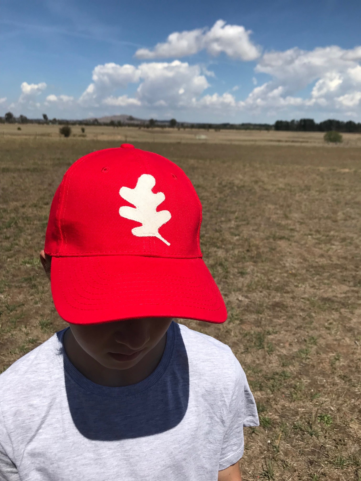 Seasons & New England Merch – Seasons of New England